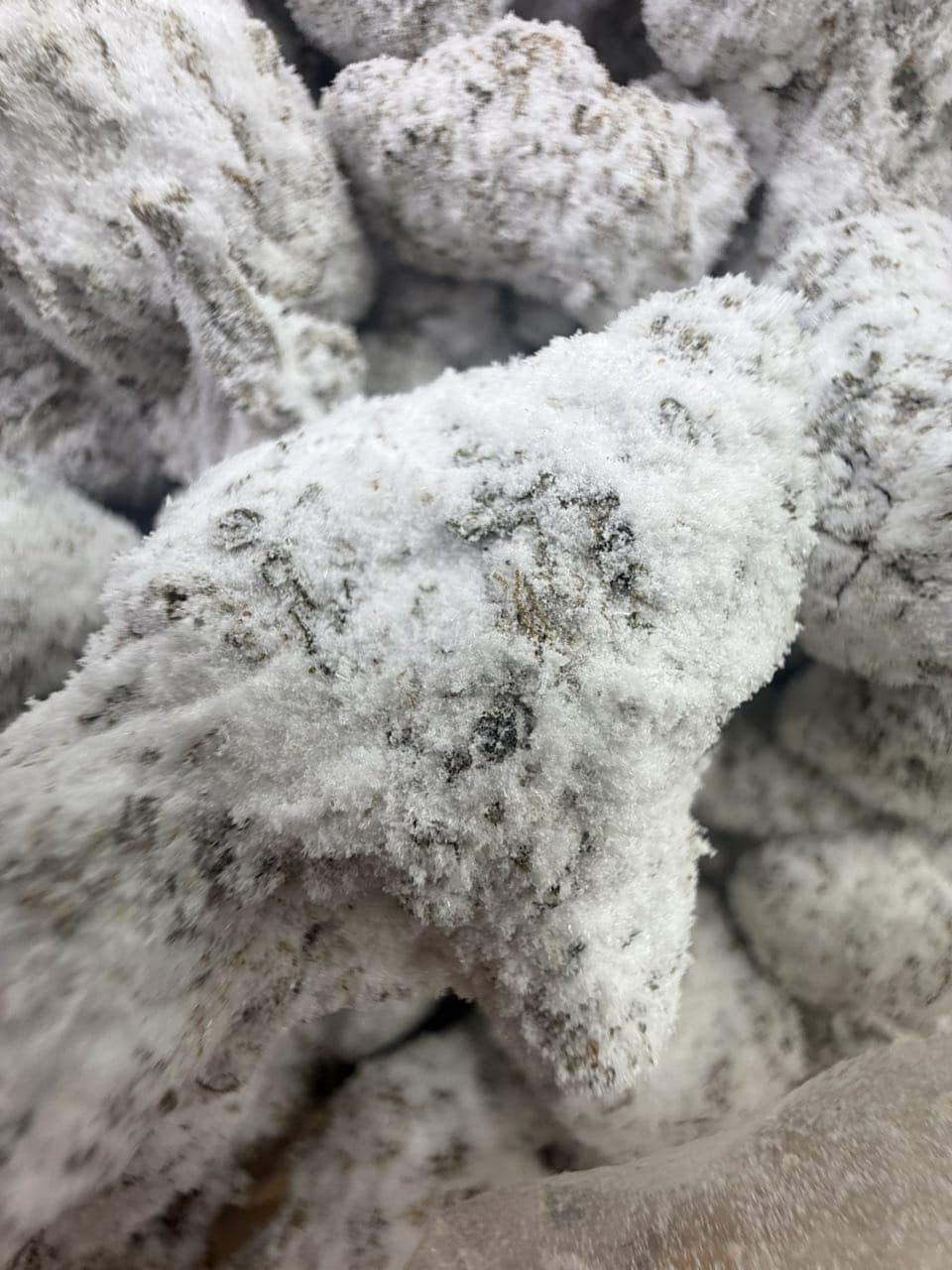 Loose Ice Caps Strain Review | Flavor, Effects, THC & Genetics Guide